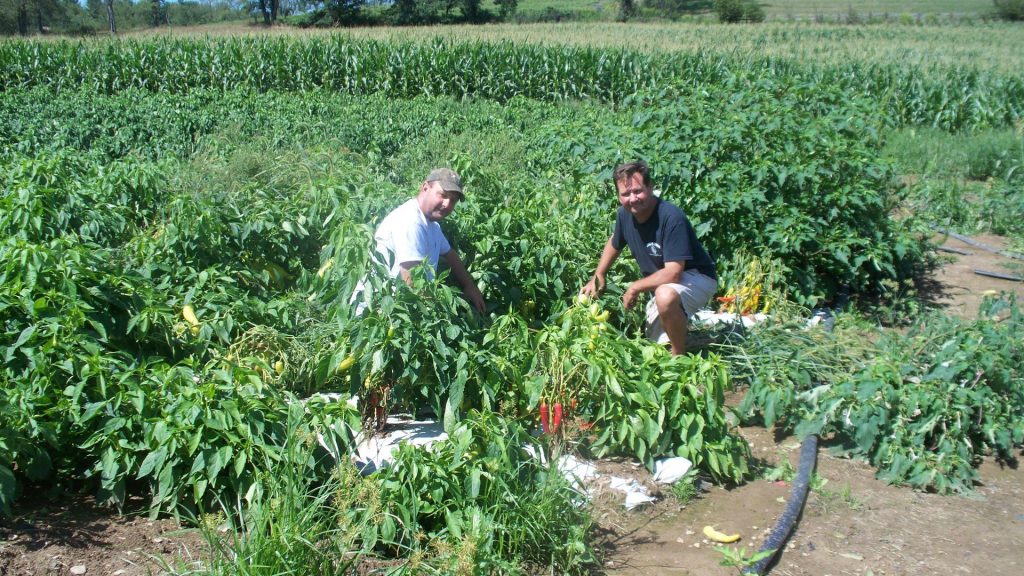 Duda Farm: A 350-acre enterprise that grows over 25 different ...